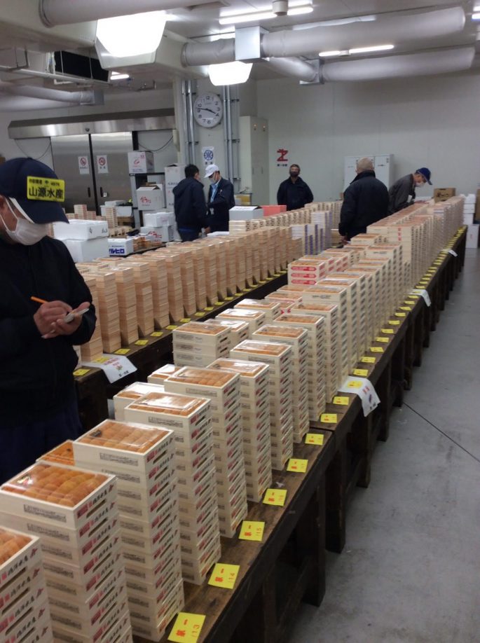 Teion About Us – Teion International