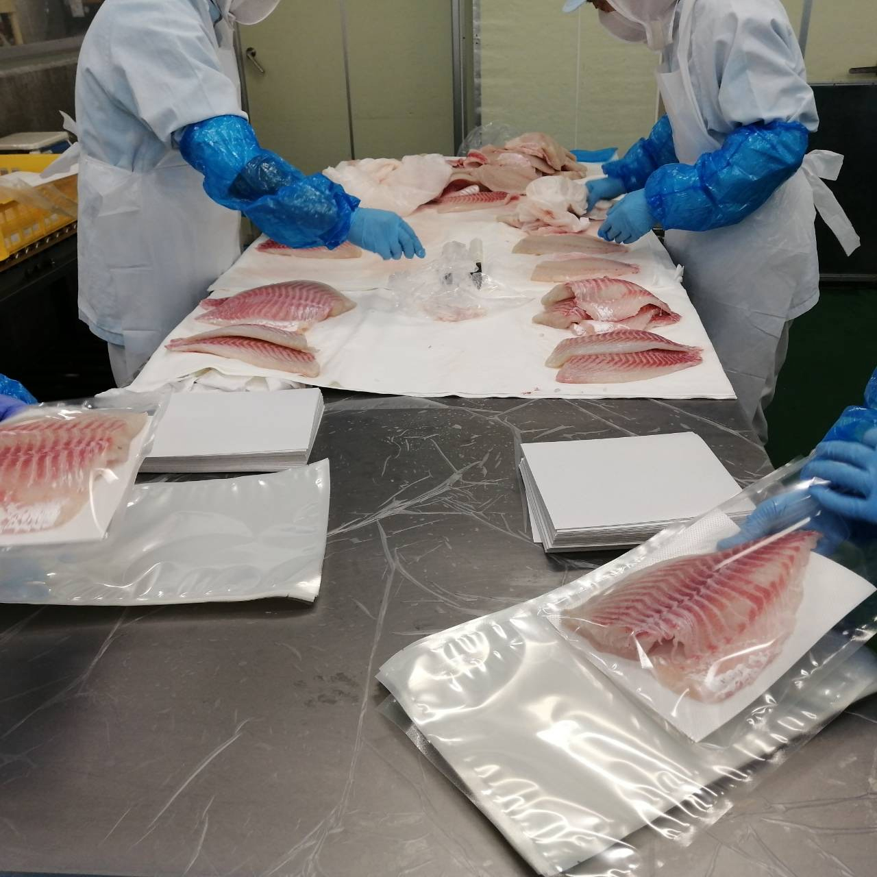 Teion About Us – Teion International