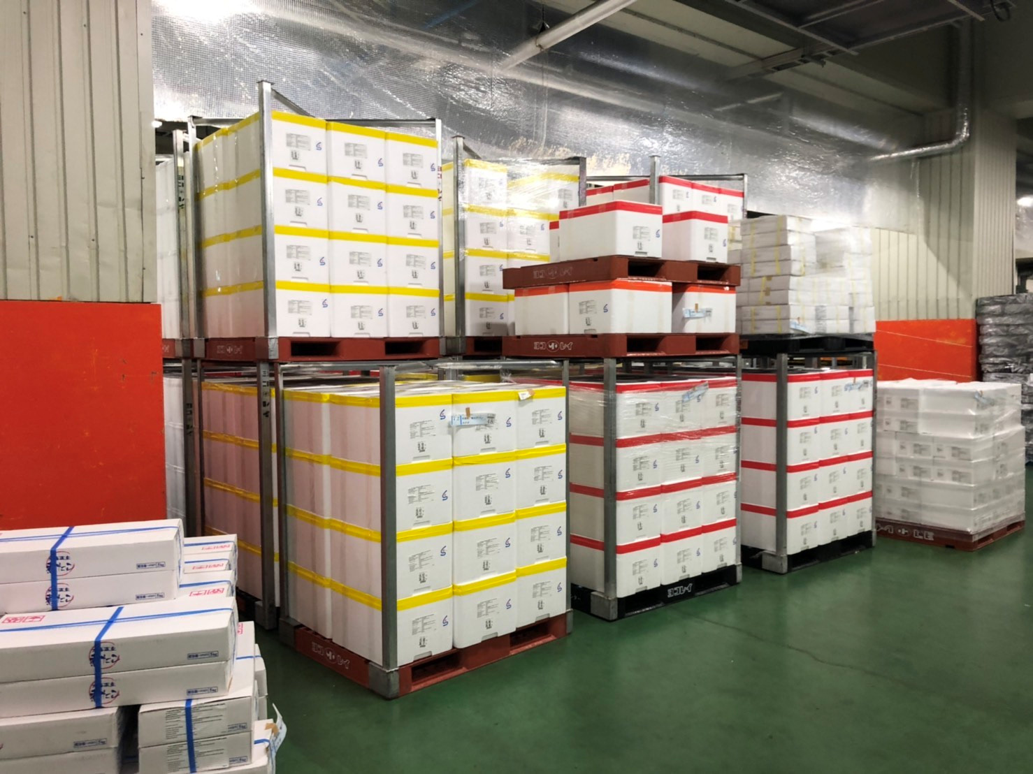 Teion About Us – Teion International